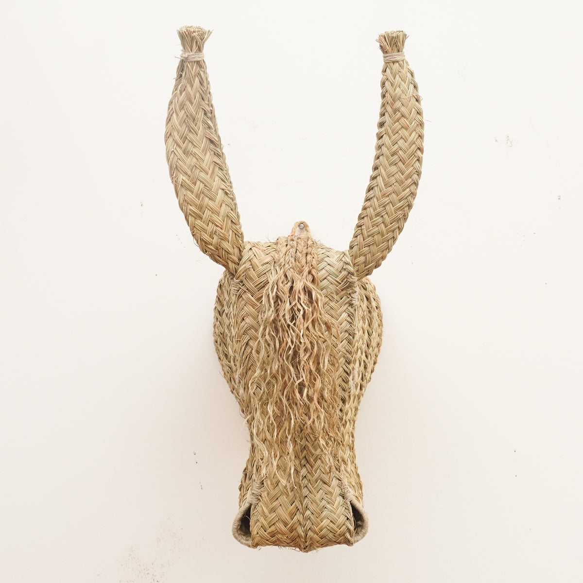 Ecologial Trophy "Burro Grande" – MC HOME