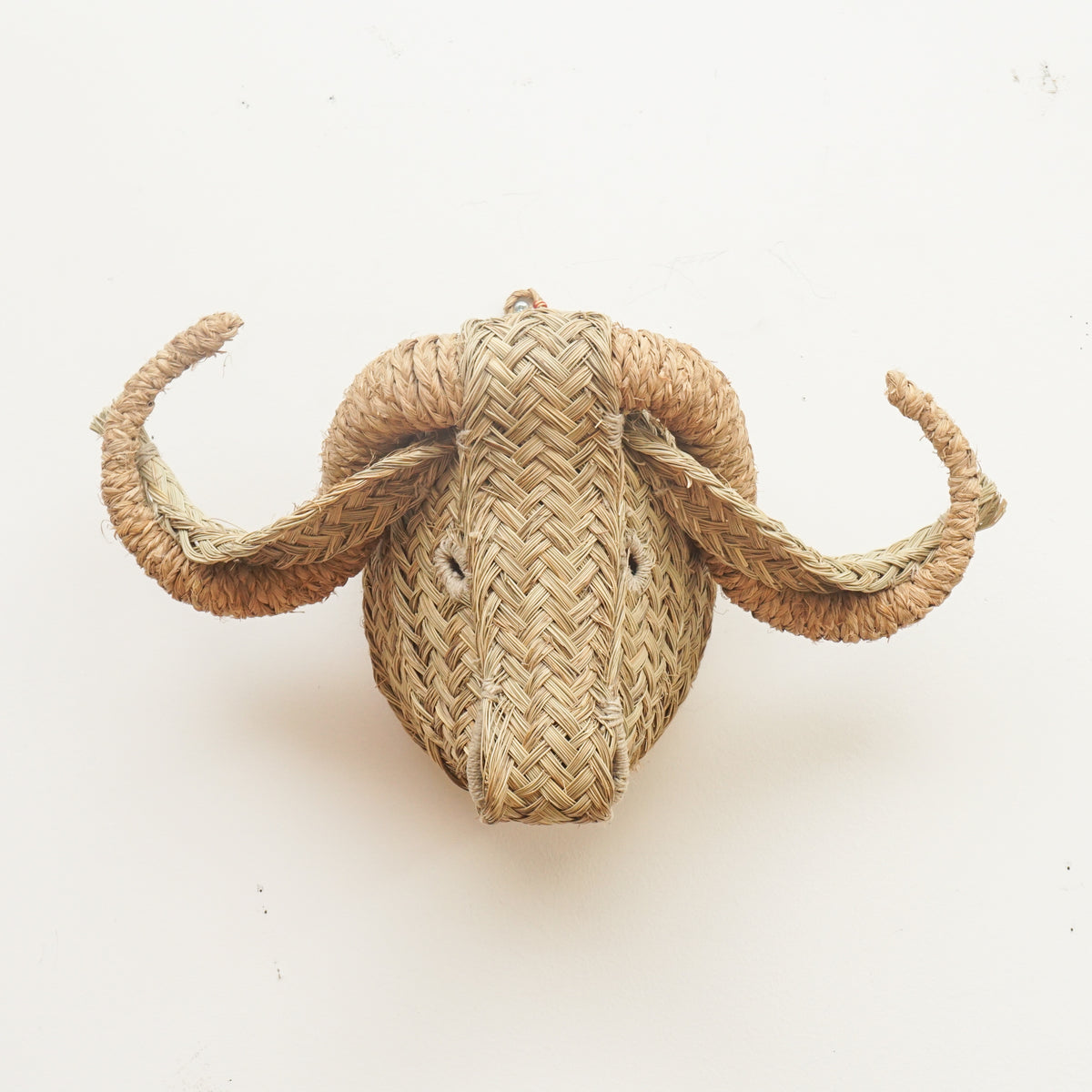 Ecological Trophy "Búfalo" – MC HOME