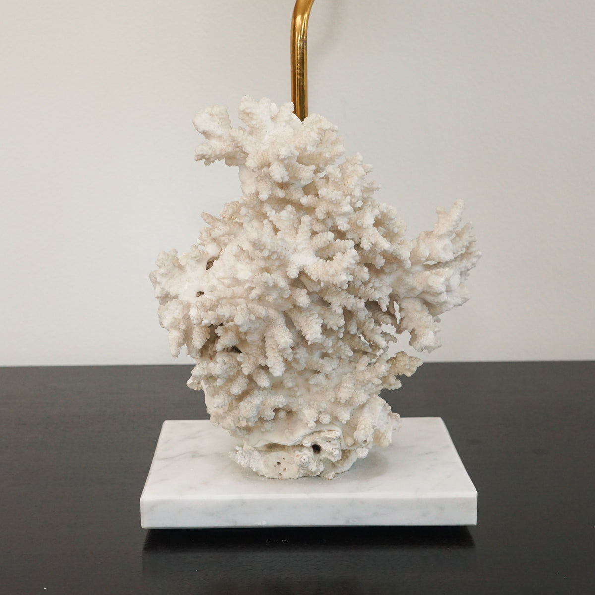 Coral Table Lamp – MC HOME